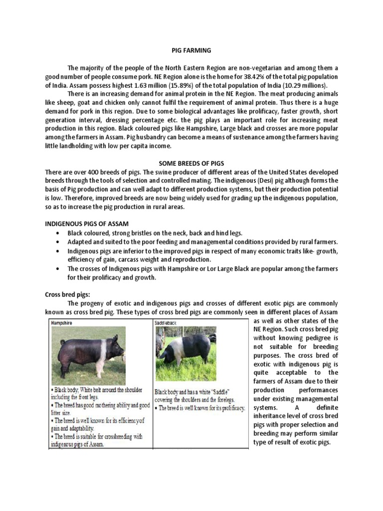 Pig Farming PDF | PDF | Pig | Wild Boar
