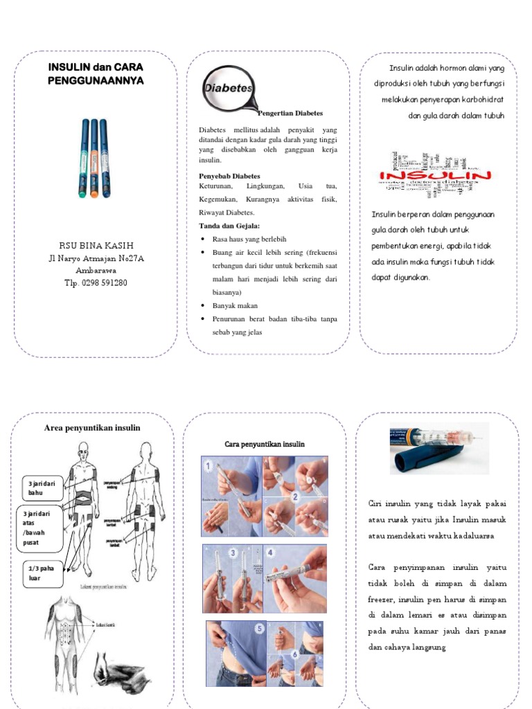Leaflet Insulin | PDF