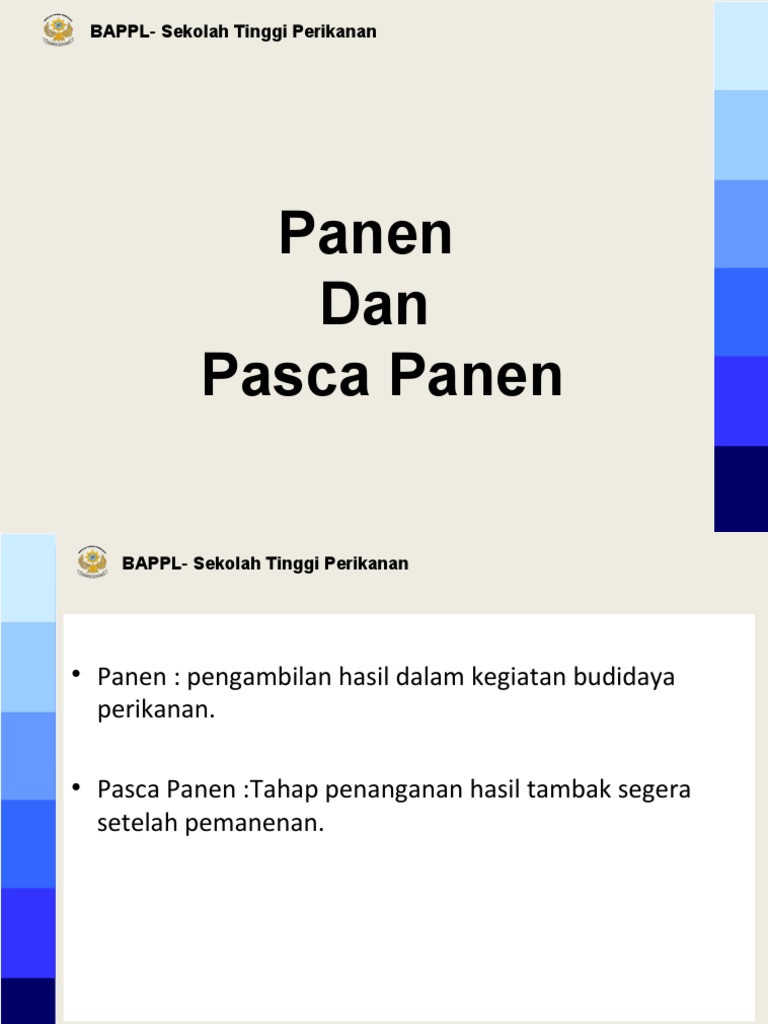 Panduan Pasca Panen Udang Segar | PDF | Memasak, Makanan, & Anggur