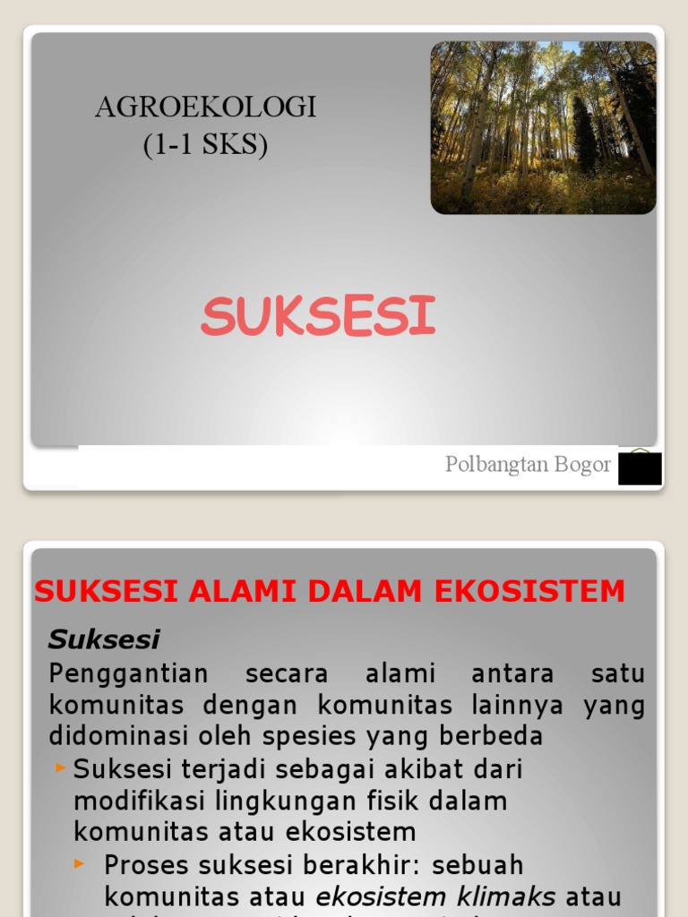 6b SUKSESI | PDF | Sains & Matematika