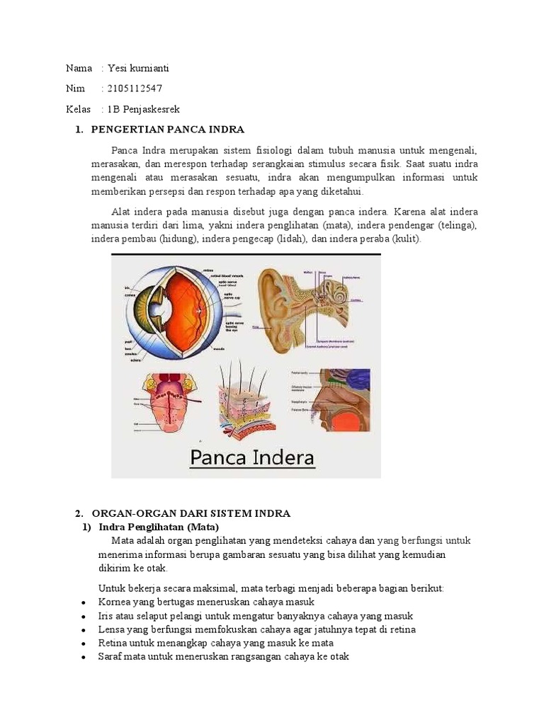 Ilmu Urai Panca Indra | PDF