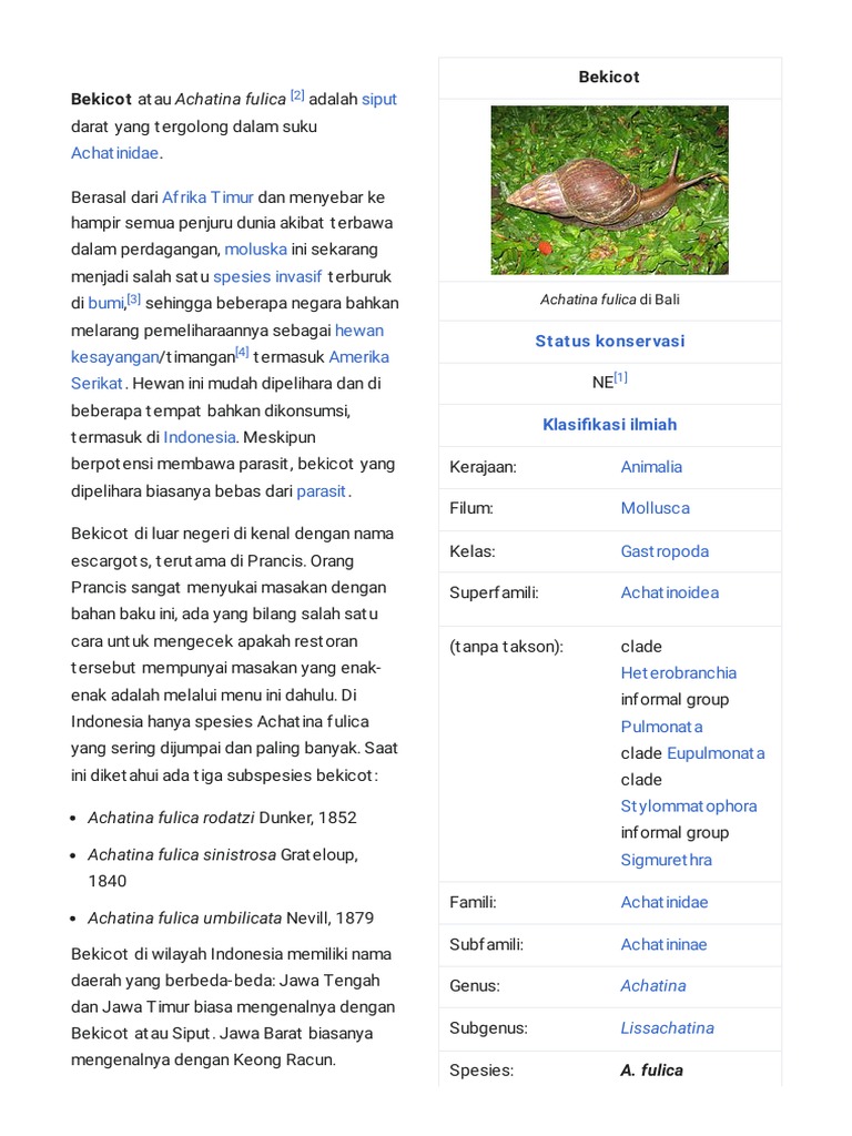Bekicot Wikipedia Bahasa Indonesia Ensiklopedia Bebas 1 Pdf Pdf