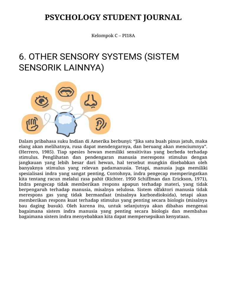 Other Sensory Systems (Sistem Sensorik Lainnya) - Psychology Student ...