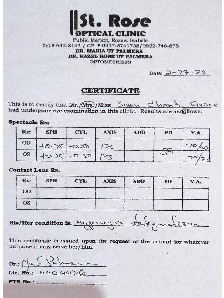 Visual Acuity PDF | PDF