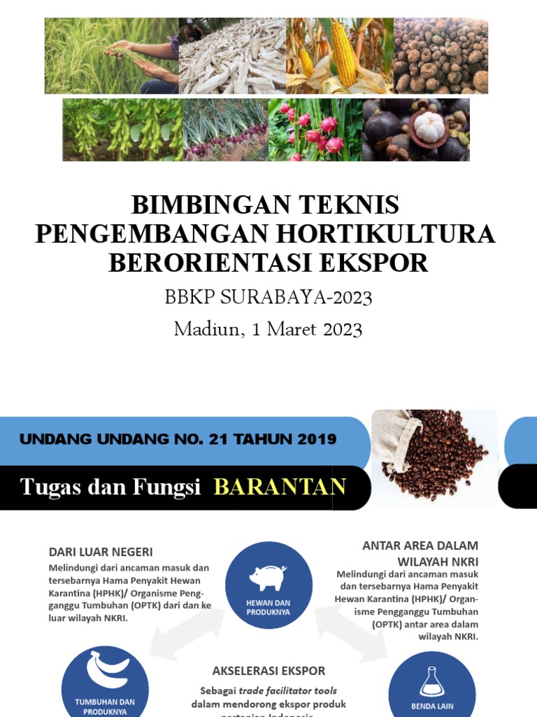 Presentation Pengembangan-Horti DLM Ekspor | PDF