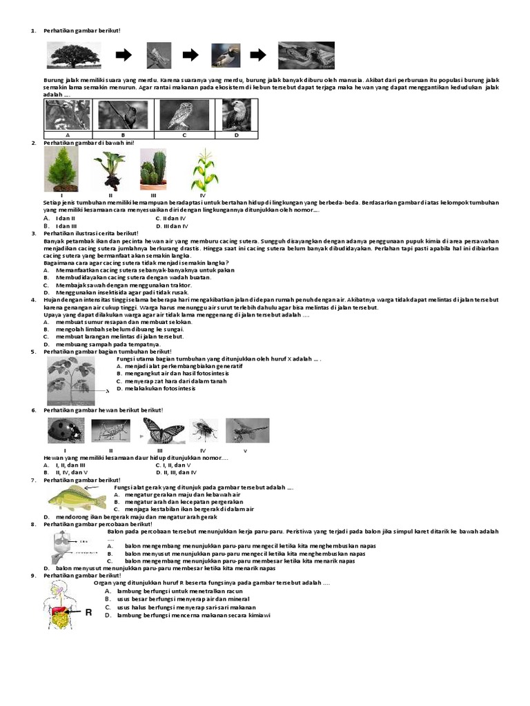 Tryout 3 Ipa PDF | PDF