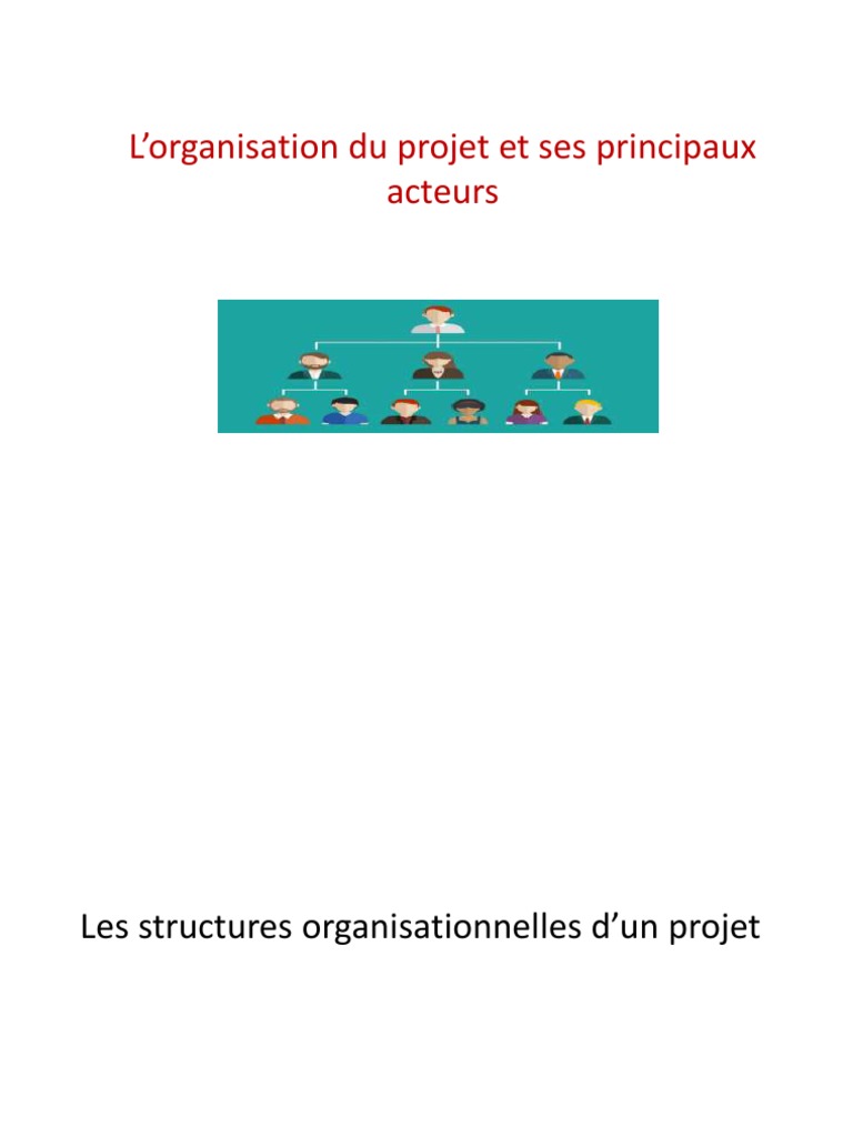 Structures organisationnelles de projet | PDF | Business | Partie prenante
