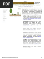 LITOSOLES | PDF | Suelo | Roca (geología)