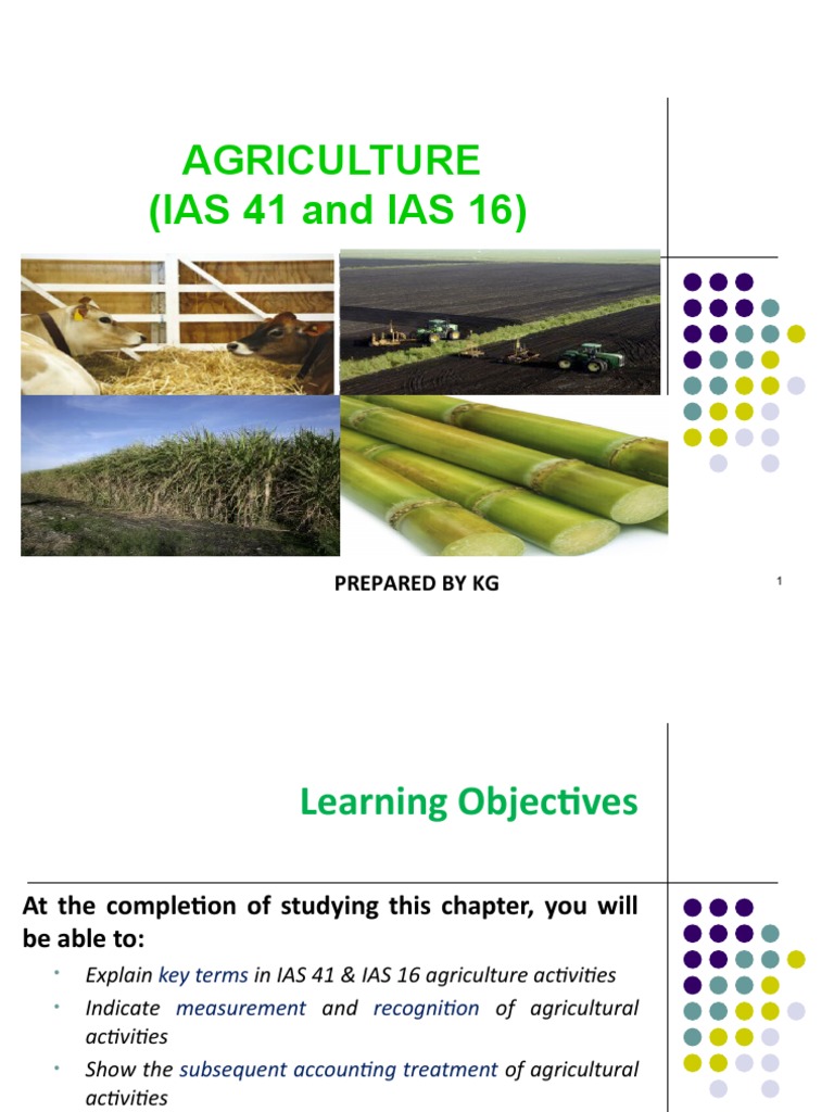 Ias 41 | Download Free PDF | Fair Value | Cost