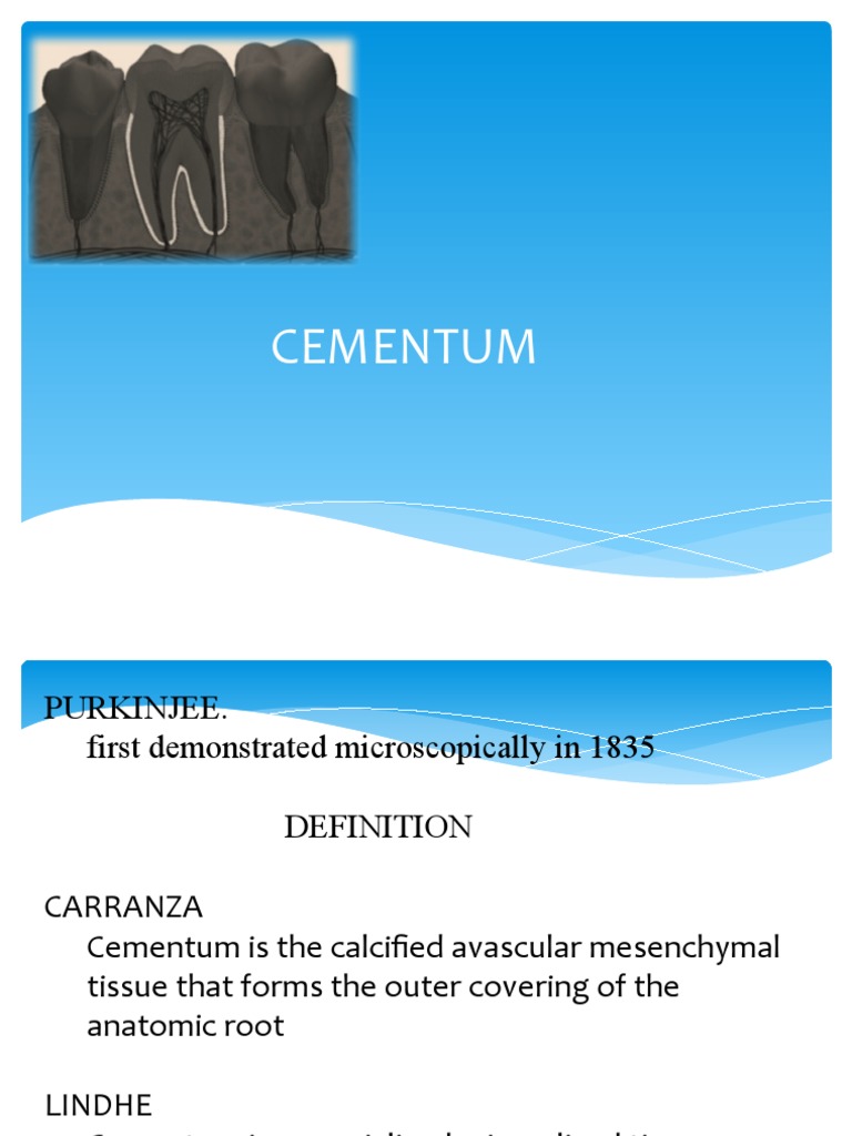 CEMENTUM Seminar | PDF | Dentistry Branches | Dental Anatomy