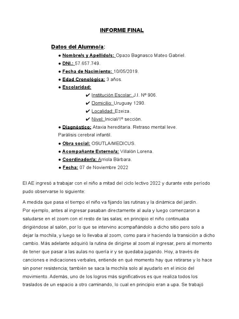 Modelo Informe 2 | PDF