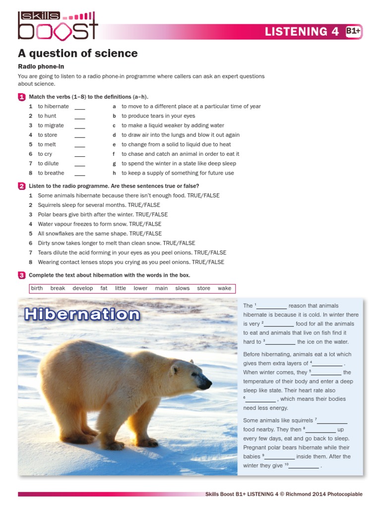 B1+ Listening 4 | PDF