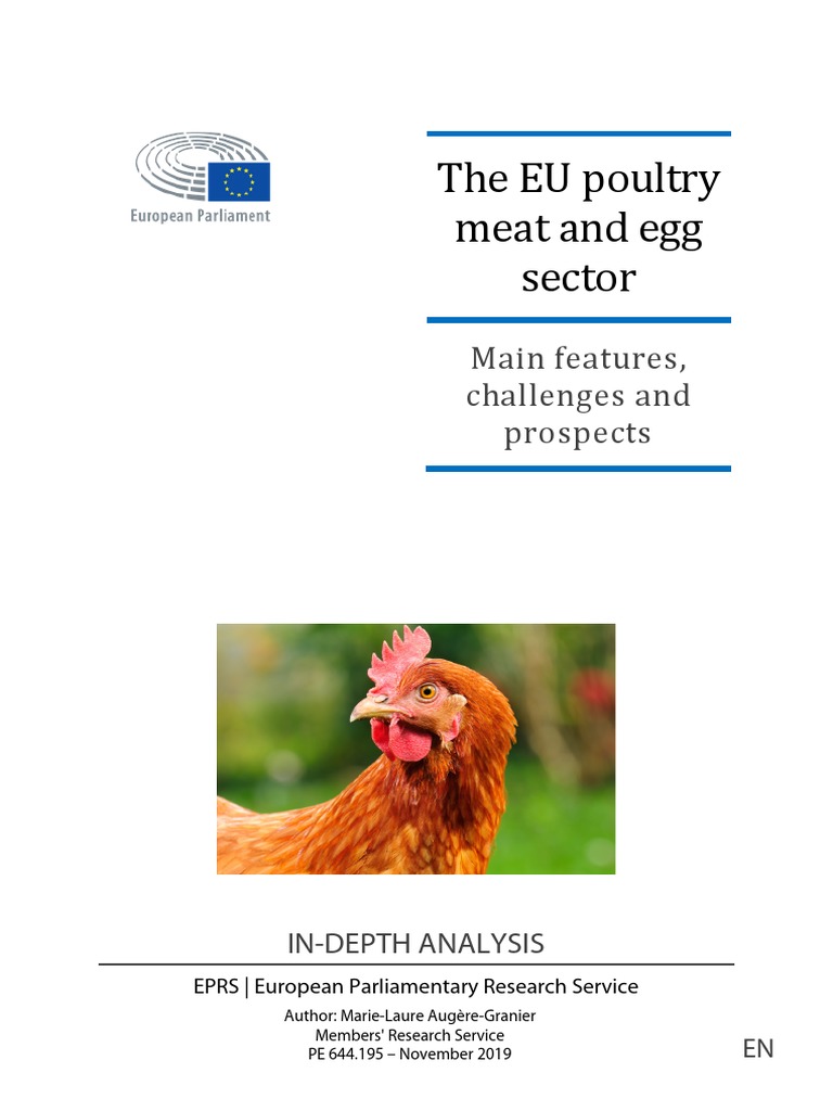 The EU Poultry Sector - 2019EU | PDF | Poultry Farming | Broiler
