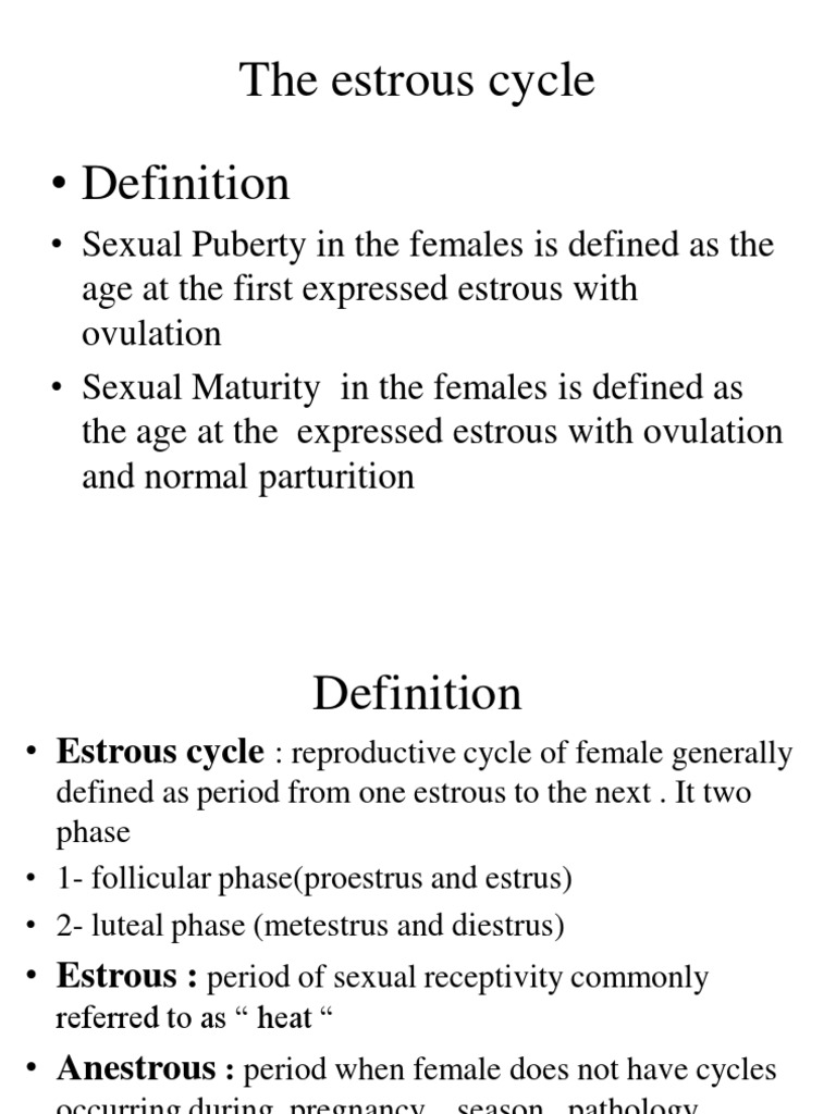 Lecture 3 Estrous Cycle | Download Free PDF | Menstrual Cycle ...