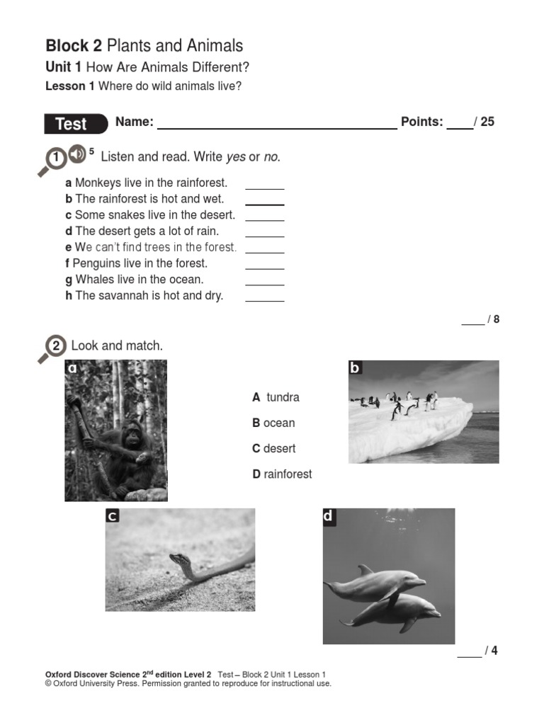 ODS Tests Lev2 B2 U1 L1 | PDF | Rainforest | Organisms