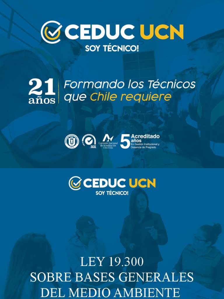 Ley 19300 | PDF | Entorno natural | Evaluación de impacto ambiental