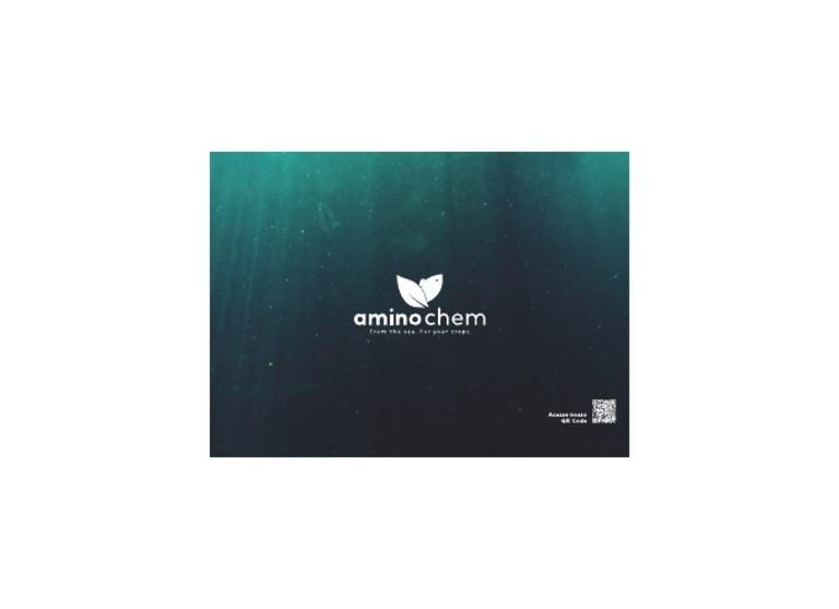 AminoChem - Estande Quadrado 3x3 (Simulação) - Fundo | PDF