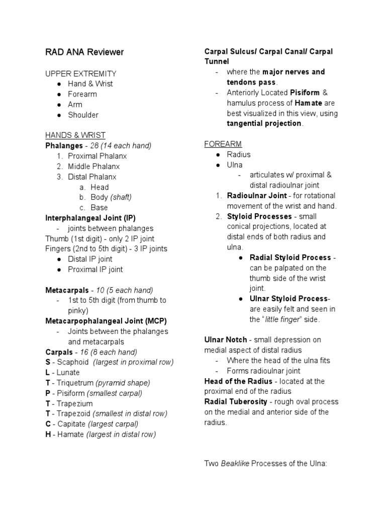 Rad Ana Midterm Upper Extremity | PDF | Hand | Musculoskeletal System