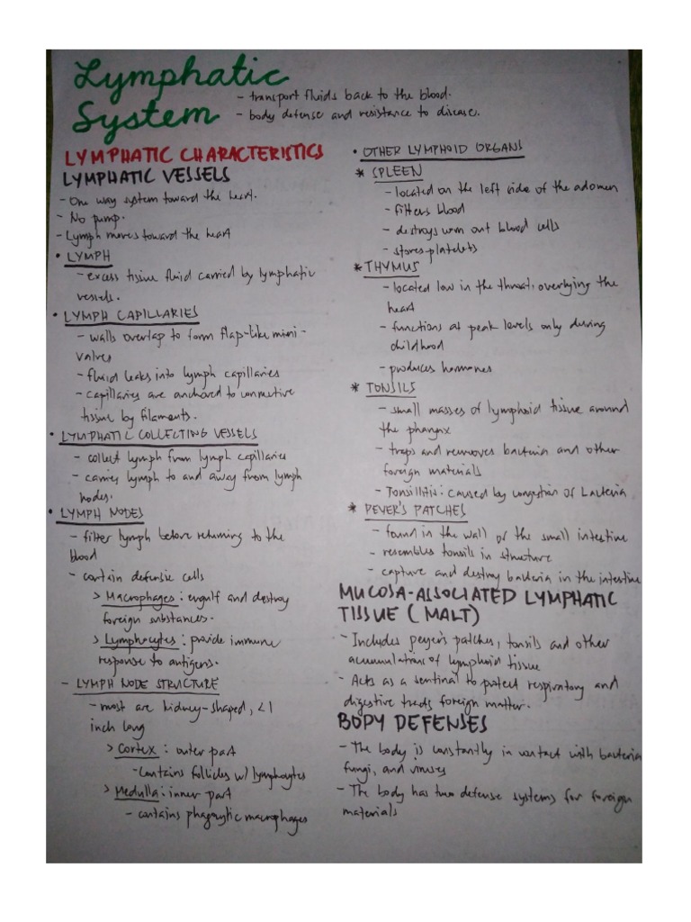 MODULE5 Sangcap PDF | PDF