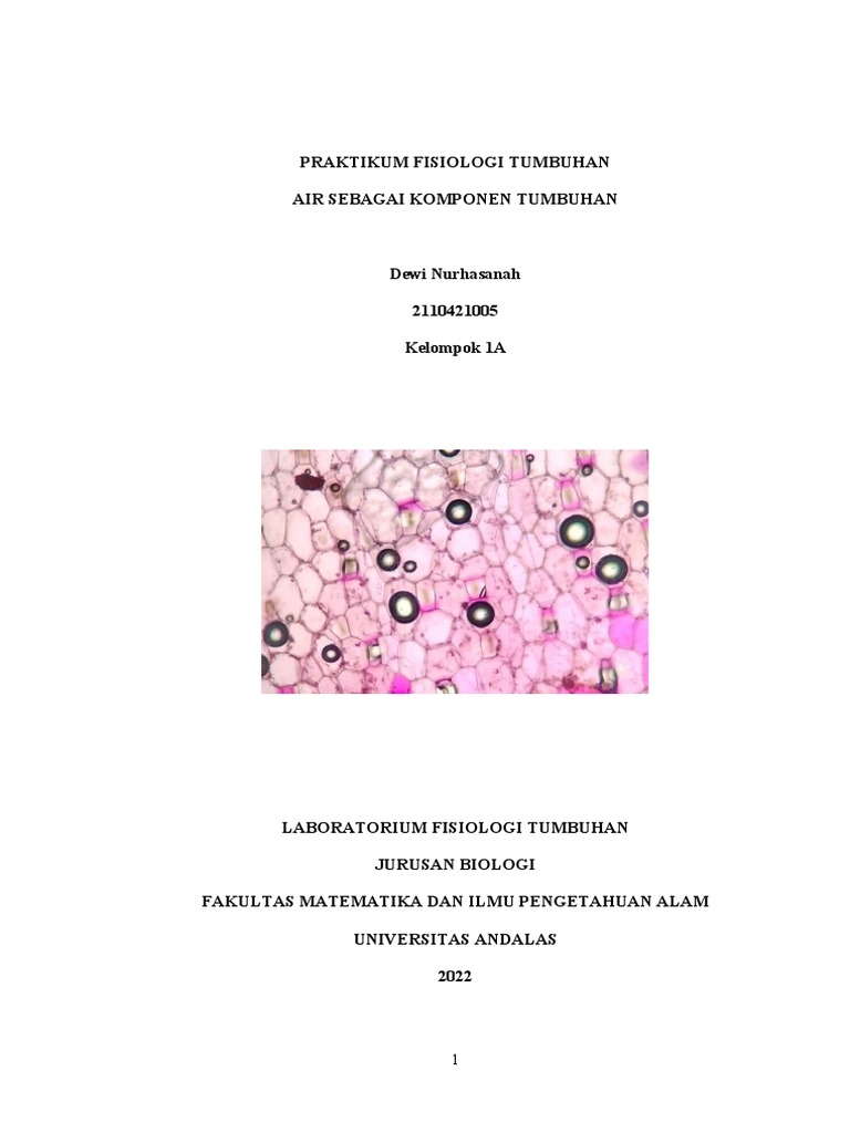 Fistum | PDF