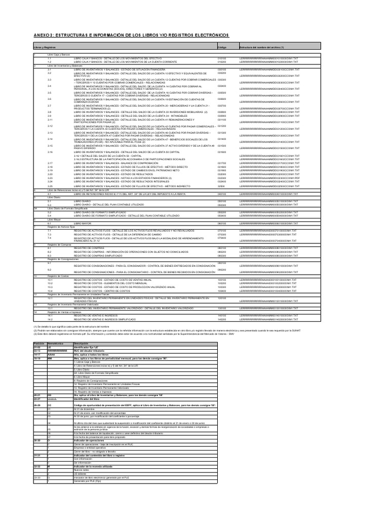 PLE - Anexo 2 - Estructuras - Final | PDF | Negocios económicos | Contabilidad financiera