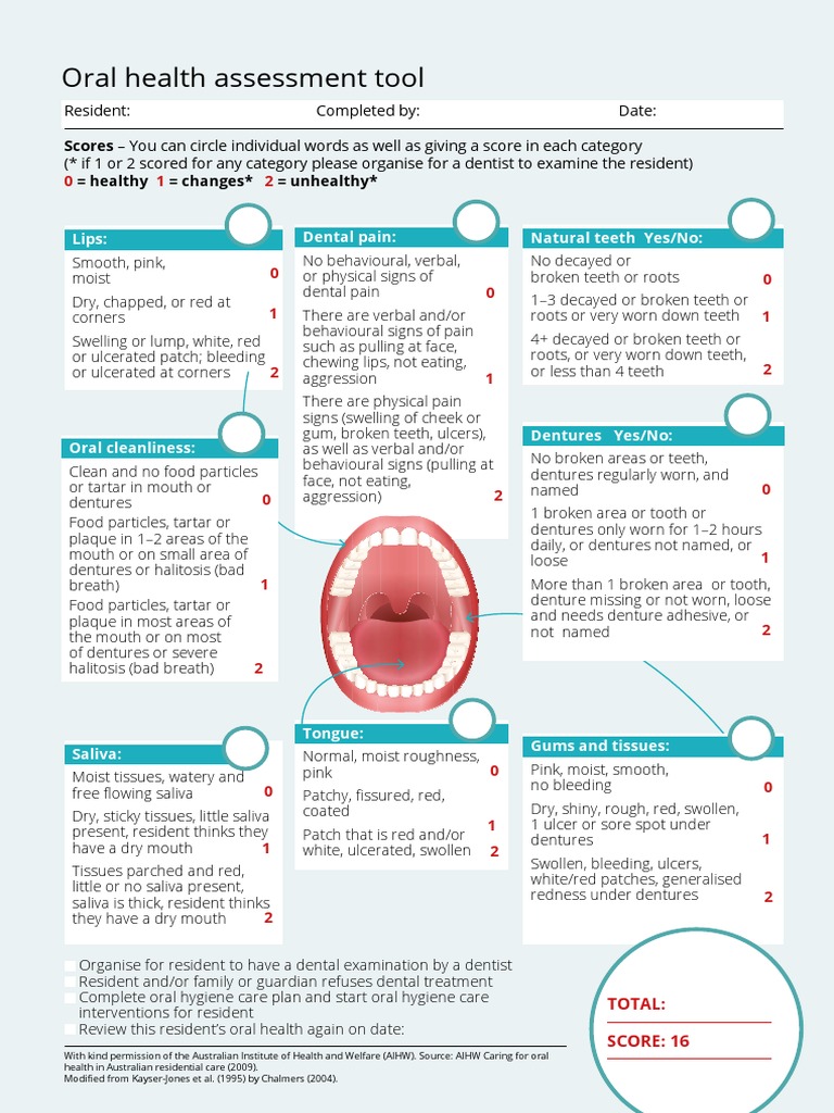 Oral Health Assessment Tool Guide | PDF
