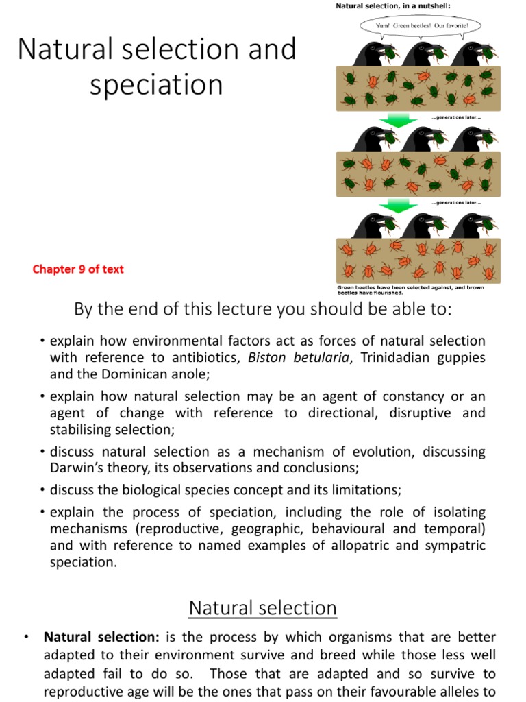 Natural Selection Lecture Pdf Natural Selection Evolution