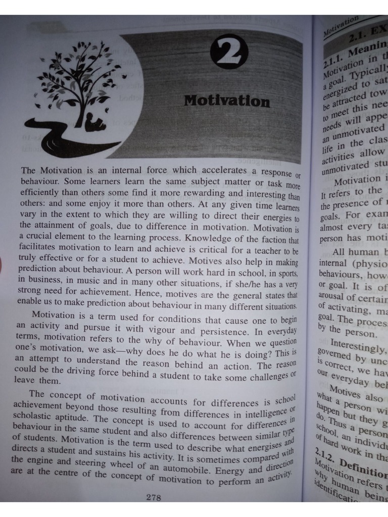Motivation PDF | PDF