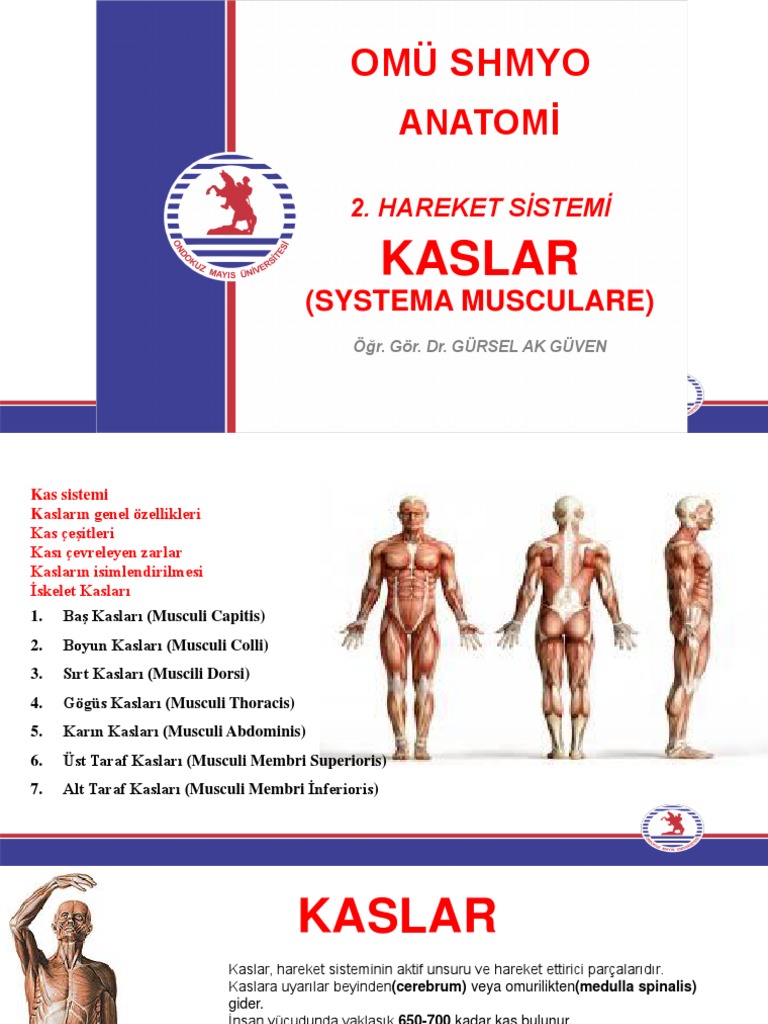 KASLAR.pdf | PDF