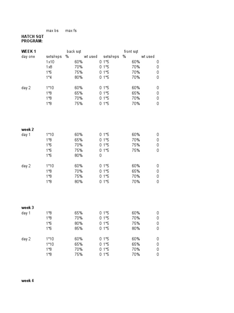 Hatch Squat Program Overview | PDF