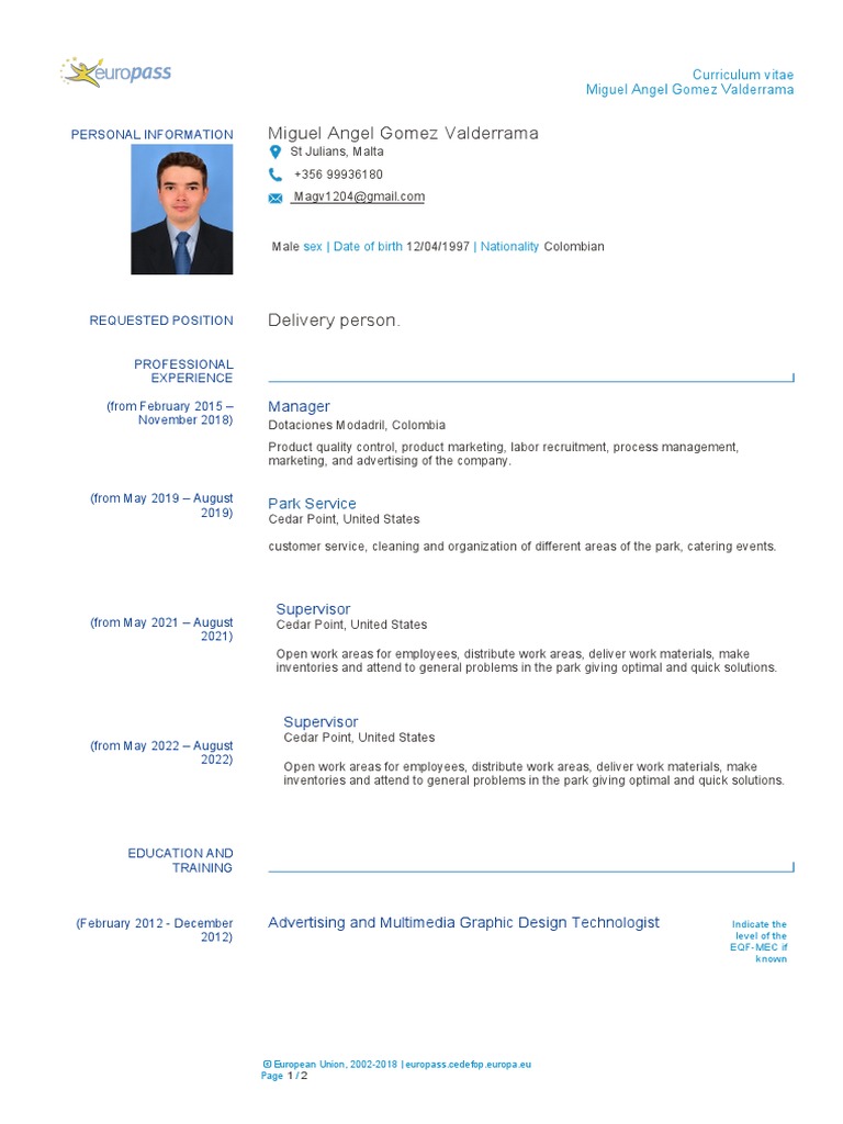 CV Miguel Angel | PDF | Communication | Information Technology