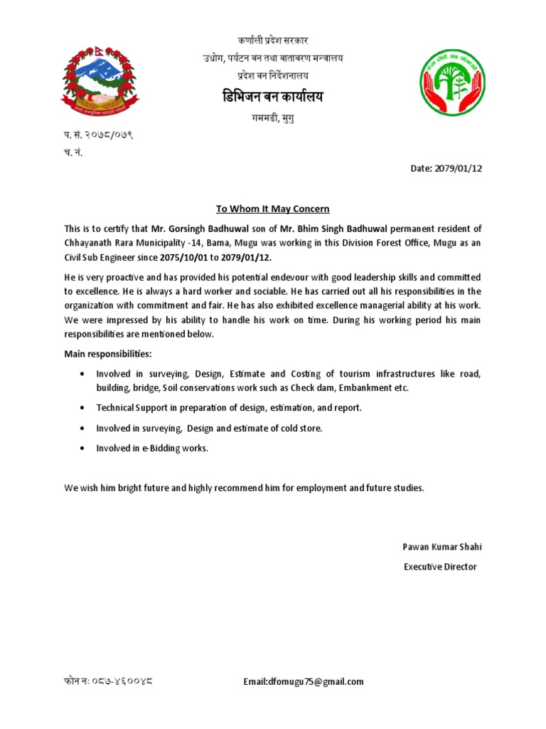 Civil Engineer Experience Certificate | PDF