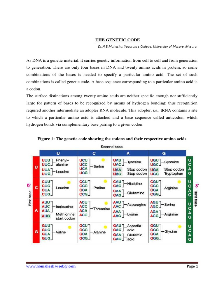 5.the Genetic Code | PDF | Genetic Code | Amino Acid