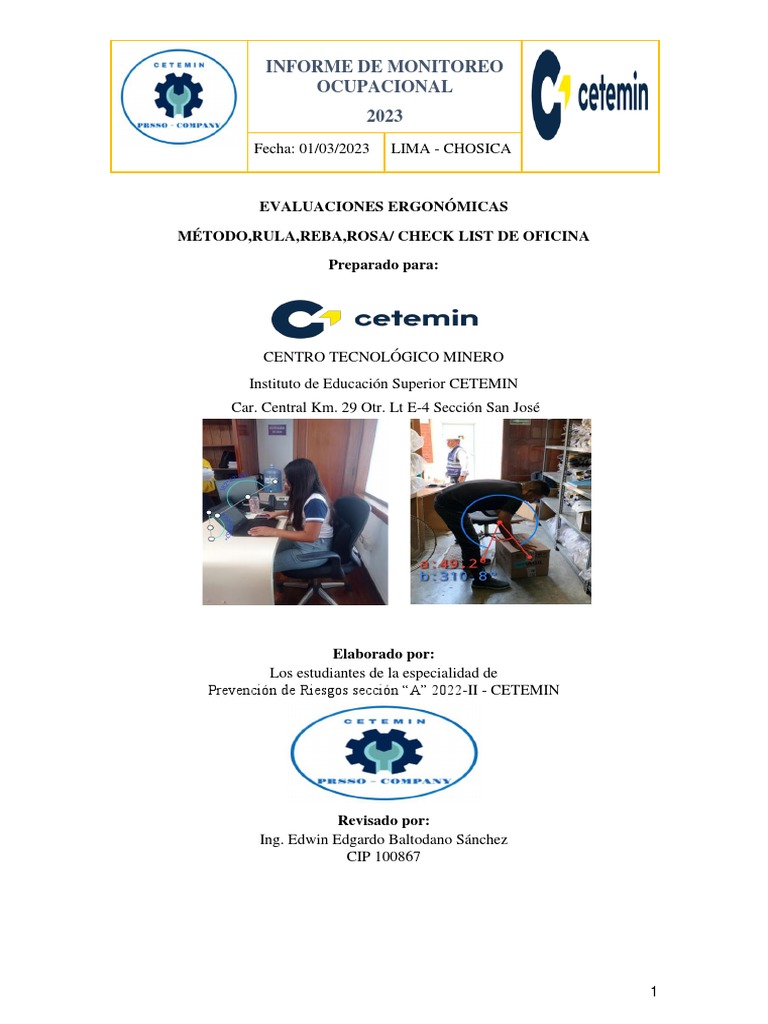 Informe de Rosa, Rula, Reba | PDF | Factores humanos y ergonomía ...