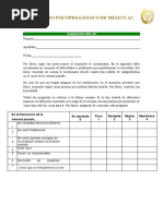 Escala de McLean Traducida | PDF | Psiquiatría | Medicina