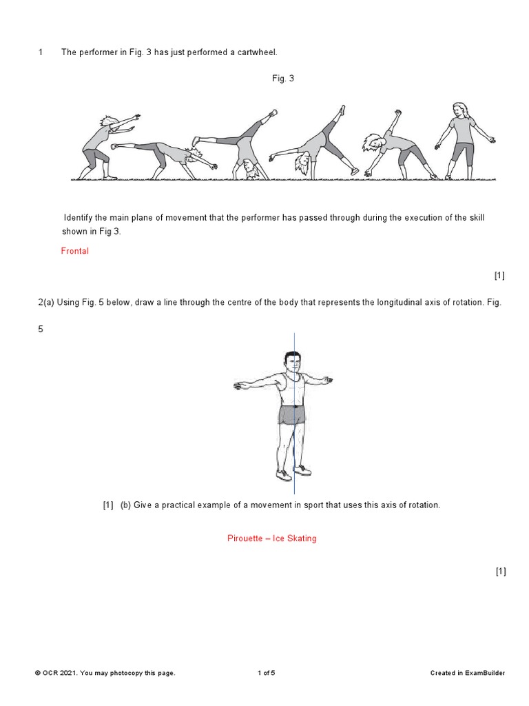 GCSE Movement Analysis | PDF | Lever | Motion (Physics)