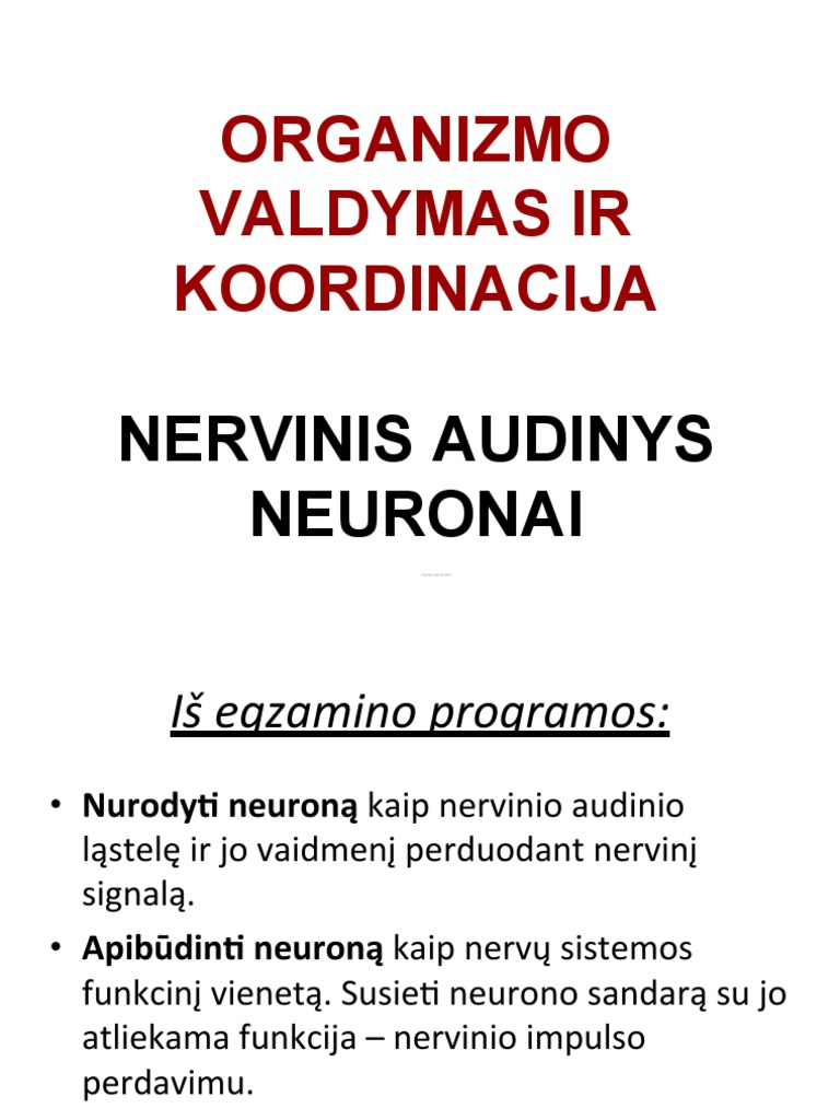 1 - 12-A-Neuronai | PDF