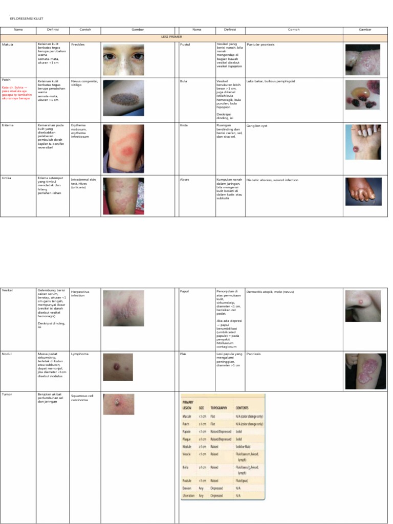 Lesi Kulit dan Efloresensi Dermatologis | PDF