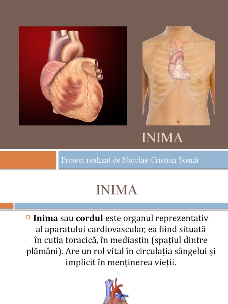 Inima | PDF