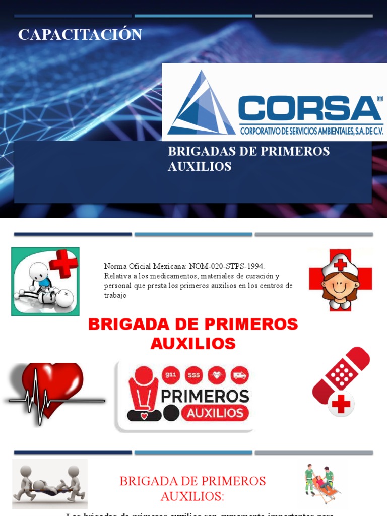 Brigadas de Primeros Auxilios | PDF | Primeros auxilios | Policía