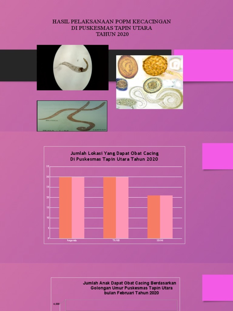 Power Point Kecacingan TH 2020 Ok | PDF