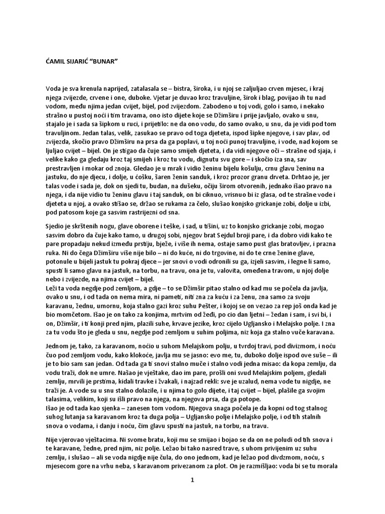 Camil Sijaric Bunar | PDF
