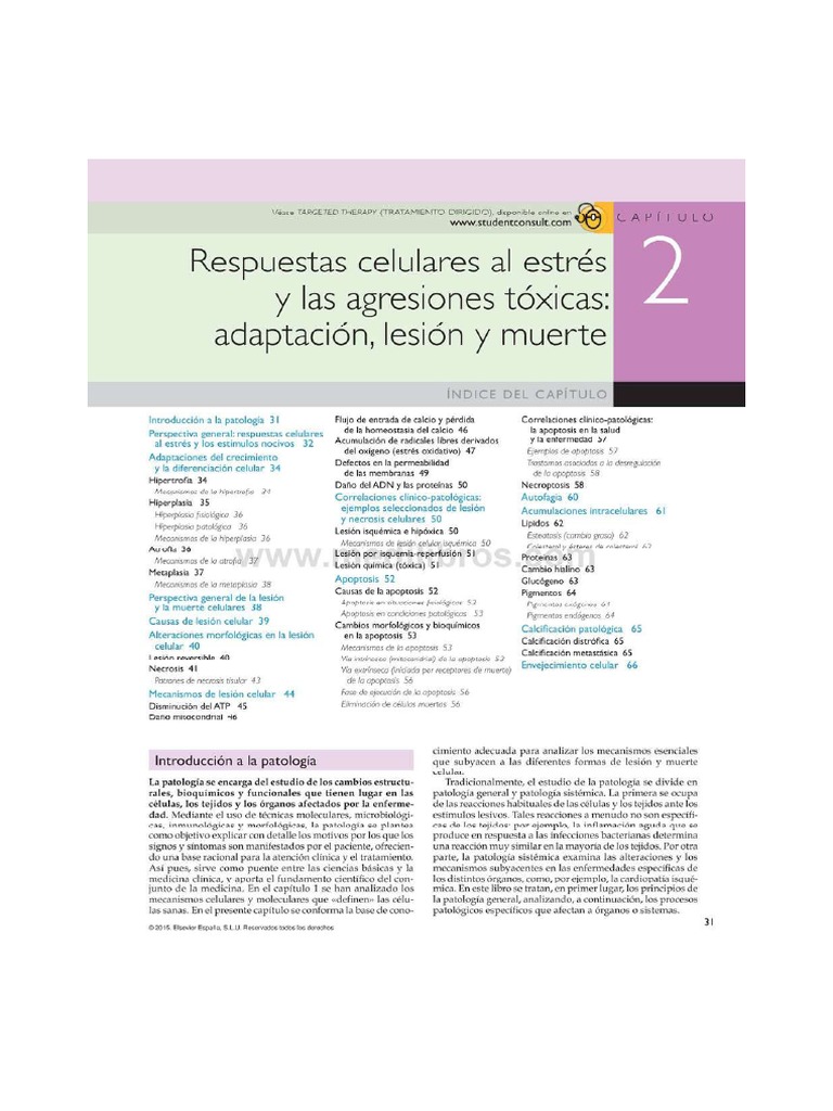 Robbins - Cotran.Patologia - Estructural.y.Funcional.9a Ed PDF | PDF