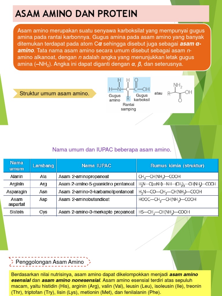 Makromolekul Protein | PDF