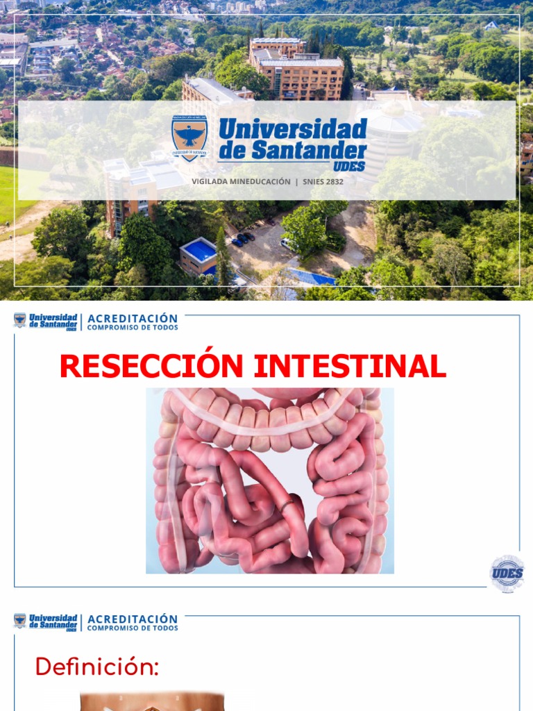 Reseccion Intestinal | PDF | Especialidades Medicas | Gastroenterología