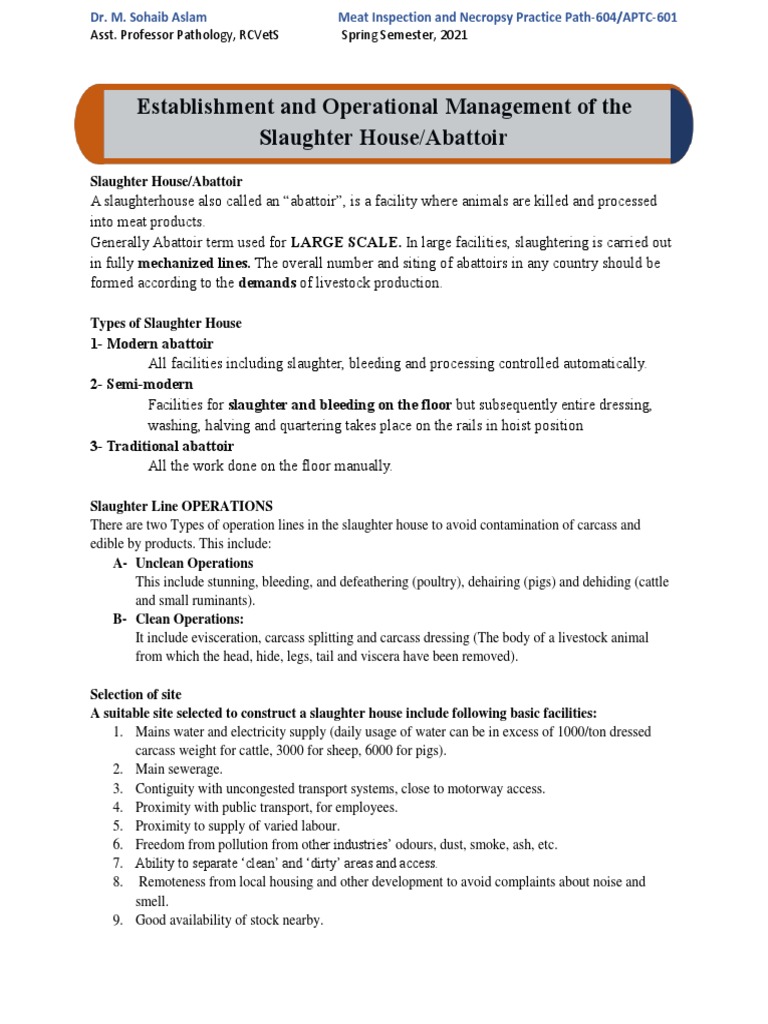 Slaughterhouse Management and Operations | PDF | Slaughterhouse | Water