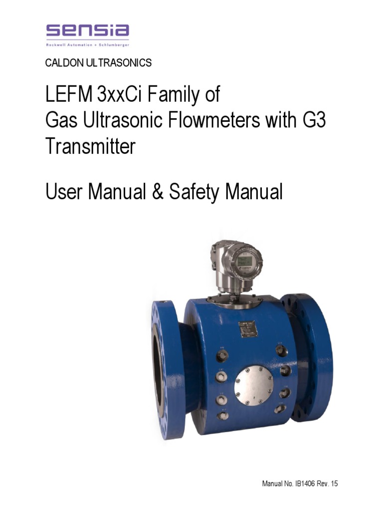 CALDON LEFM 3xxci Ultrasonic Flowmeters With G3 Transmitters Manual ...