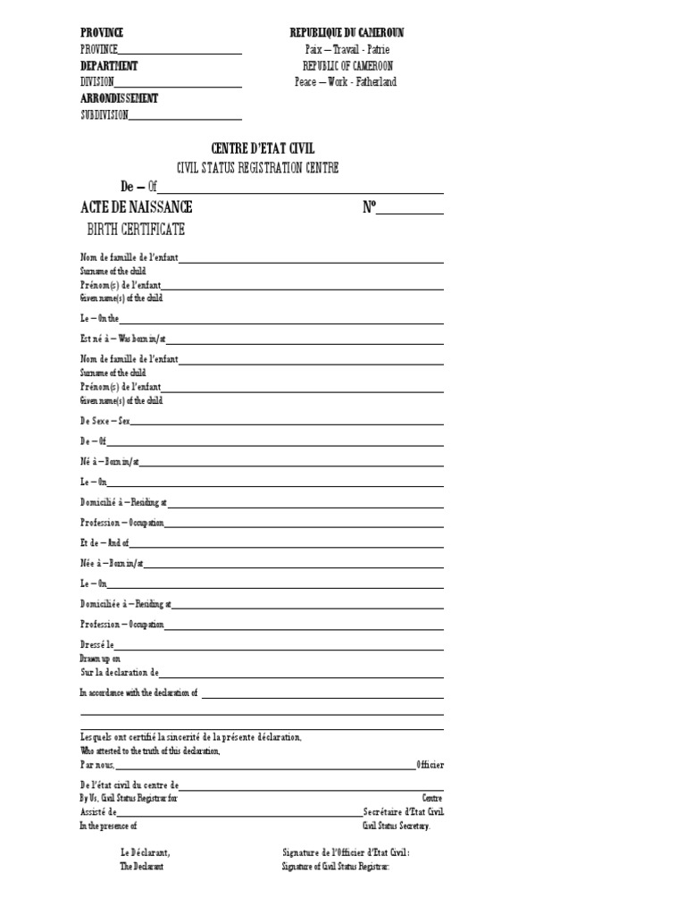 Birth Certificate Form | PDF