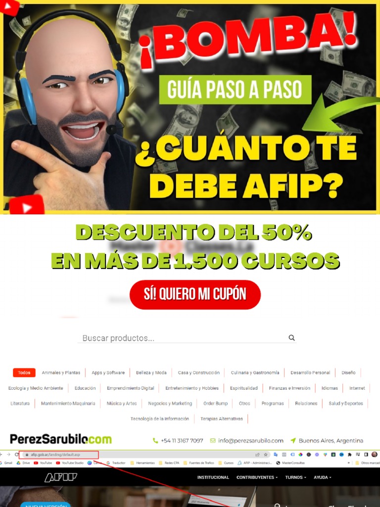 Guia Paso A Paso Afip | PDF