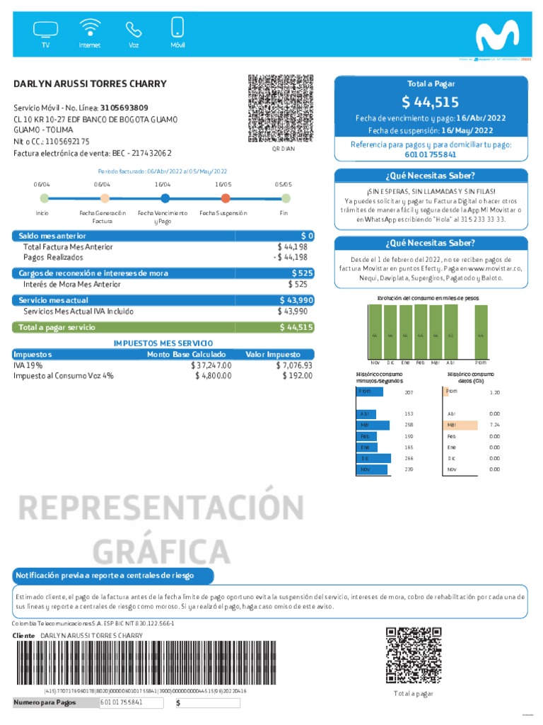 Darlyn Arussi Torres Charry | PDF | Factura | Industrias de servicio